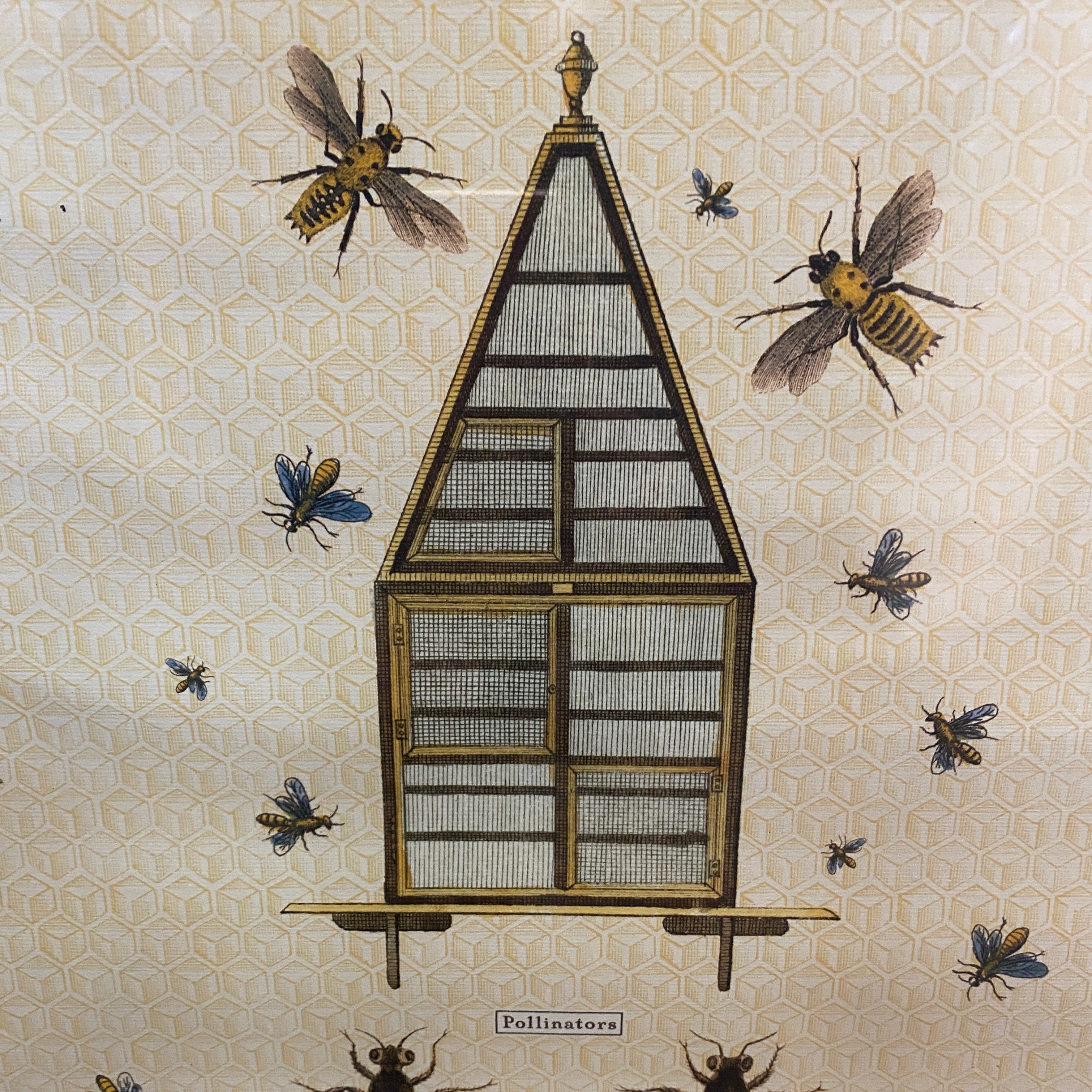 Happy Flame | Australian Certified Organic Beeswax Candle Store