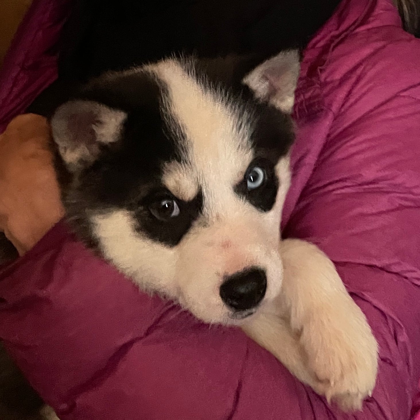 Happy Flame | Australian Certified Organic Beeswax Candle Store